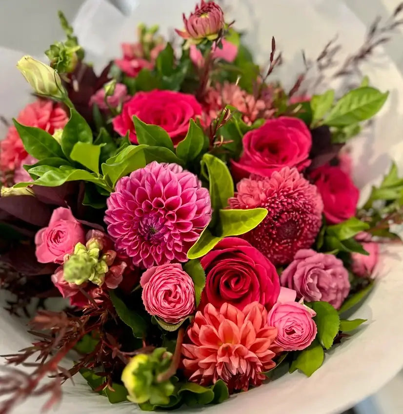 Flowers – Green Darling Flowers